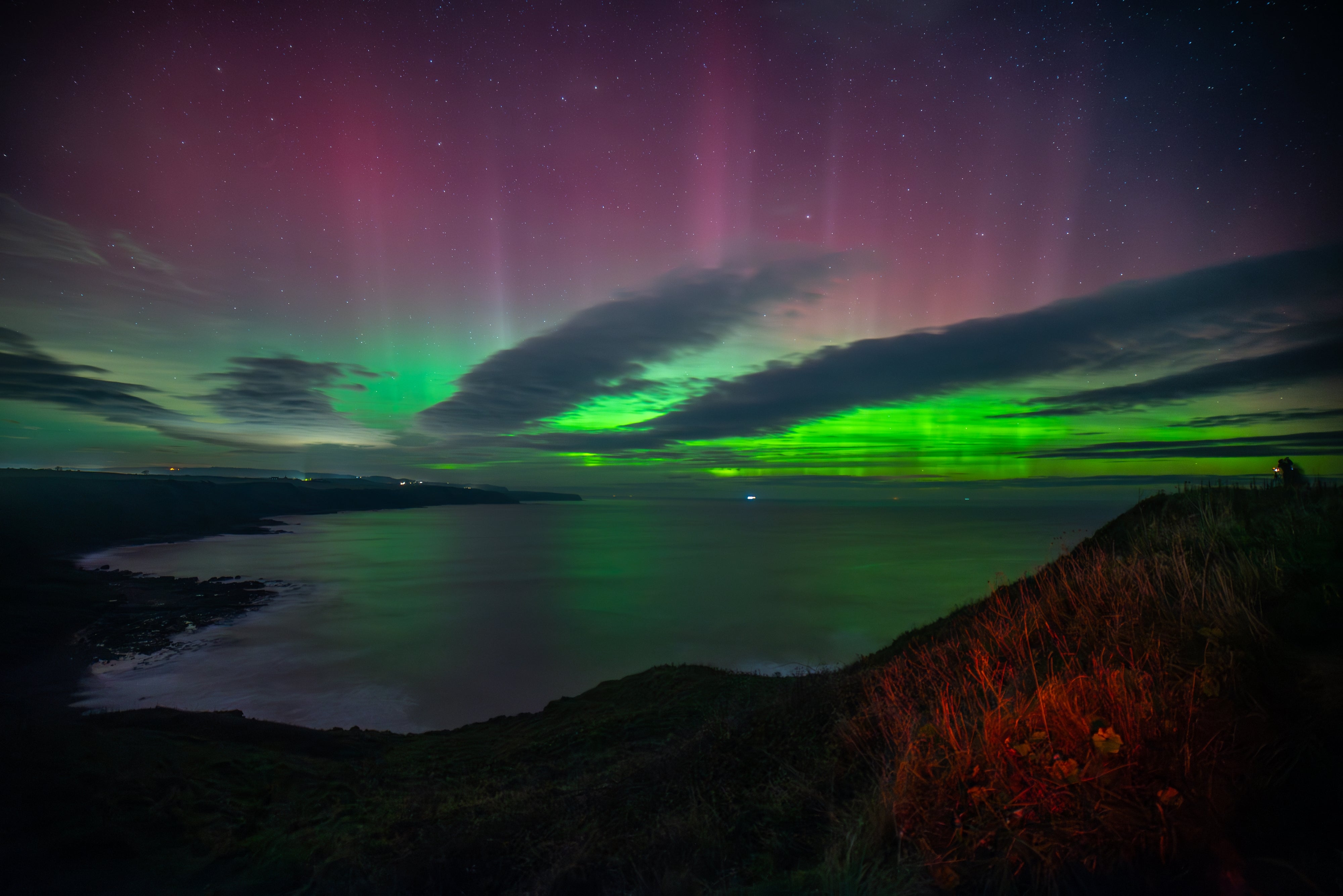 Astro Dog Stargazing Events